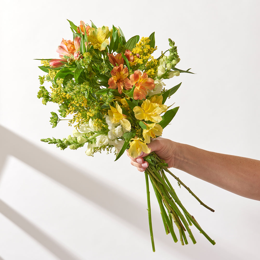 The Cairo – Flowerstore.co.uk